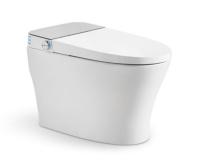 China Mocee Light Intelligent Smart Toilet 2049 L One Piece Electric Bidet Toilet IPX4 for sale