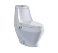 China Washdown One-Piece Toilet Floor-Mounted Ceramic 780x400x760mm S-Trap 250mm P-Trap 180mm for sale