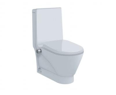 China Washdown One-Piece Toilet Floor-Mounted Ceramic 760x380x840mm Dual Trap 250mm 180mm for sale