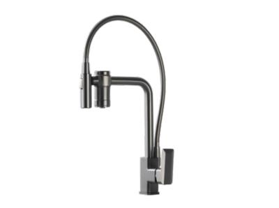 China Mocee 25501 Pull-Out Kitchen Faucet with Water Filter Dual Waterway Brass Mixer Tap for sale