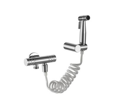 China Solid Brass Toilet Bidet Sprayer Set 26101 Handheld Bathroom Spray Gun with Flexible Water Control for sale