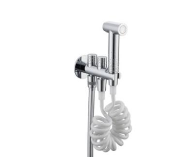 China Brass Toilet Bidet Sprayer Set 26106 Handheld Bathroom Spray Gun 1.5m Hose for sale