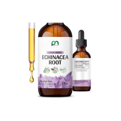 China Alcohol Free Immune Support Drops Liquid Echinacea Supplement 680mg Glycerin Based for sale