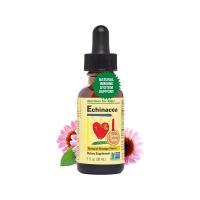 China Kids Echinacea Immune Booster Herbal Supplement drops Natural Orange Flavor for sale