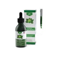 China Natural Antioxidant Supplement Drops Chlorophyll Liquid 1200mg Detox Breath Freshener for sale