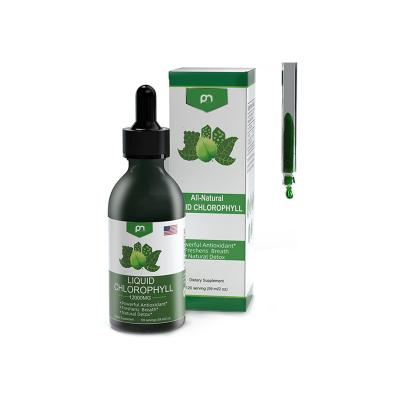 China Natural Antioxidant Supplement Drops Chlorophyll Liquid 1200mg Detox Breath Freshener for sale