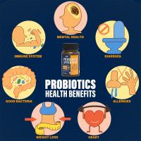 China 60-Count Probiotic Prebiotic Capsules for Digestive Health Support for sale