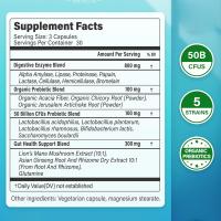 China 60-Count Digestive Enzymes Capsules with Probiotics Blend for Immunity for sale