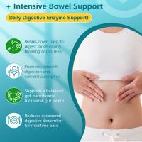 China 60-Count Digestive Enzymes Capsules with Probiotics Blend for Immunity for sale