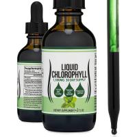 China Natural Detox and Energy Support Liquid Chlorophyll Drops with 50mg Sodium Copper Chlorophyllin Nutritional Supplement for sale
