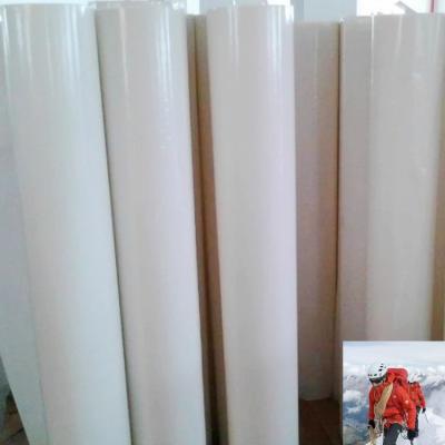 China Strong Adhesion 0.06-0.5mm PES Hot Melt Film For Charge Clothing for sale