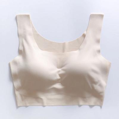 China Seamless Fit Jelly Glue Hot Melt Adhesive Film For Bra Bonding Process for sale