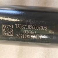 China High Quality Original Lifting Spare Parts Sinotruk Flip Cylinder Tz53718200040 for Shacman HOWO Foton B for sale