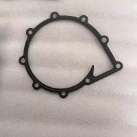 China HOWO Sitrak T5g T7h C7h 201V06901-0192 Water Pump Gasket for Man Mc11/Mc13 Motor Assembly for sale