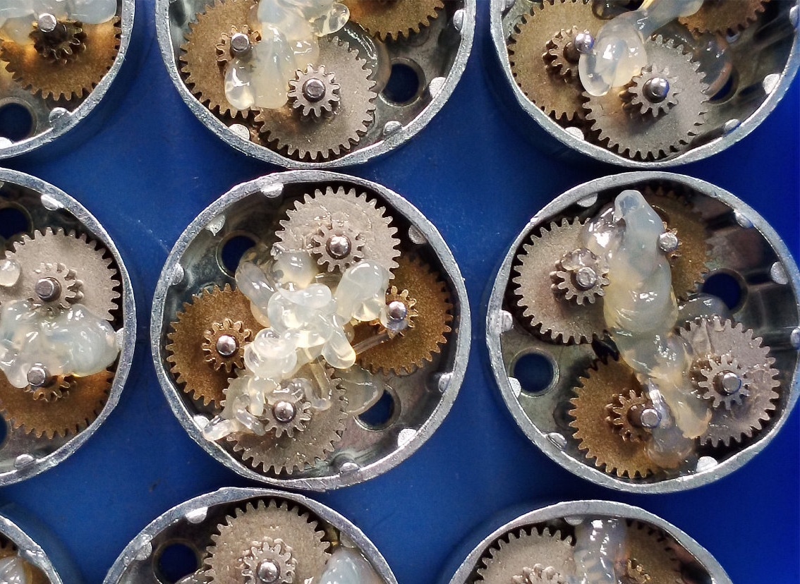 small DC motor gear structure gear mini motor gears gearbox motor