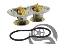 China HX-0438 Scania Thermostat for sale