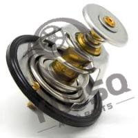 China 1306100-EG01 THERMOSTAT for HAVAL coolingsystem Engine aftermarket for sale