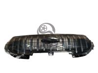 China Grill 602002740AA For CHERY ARRIZO 5IE for sale