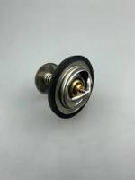 China 107-1306100-04 THERMOSTAT for LADA coolingsystem Engine aftermarket for sale