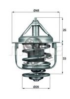 China Nissan Thermostat 21200-77A00 for Engine Cooling System for sale