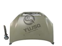 China CHERY T11 Hood T11-8402010-DY OEM Replacement for sale