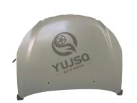 China CHERY E5 Hood 8402010FL-DY OEM Replacement for sale