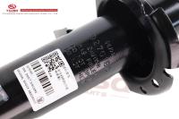 China BMW X3 F25 Gas Shock Absorber 31316796316 37116797026 with 1-Year Warranty for sale