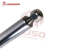 China BMW 1 Series F52 Shock Absorber 31316866029 9264282 1 Year Warranty for sale