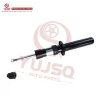 China BMW X5 E70 X6 E71 E72 Shock Absorber 31314048551 31314048552 for sale