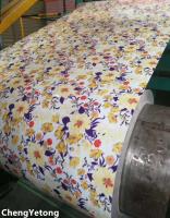 China Interior Decoration PPGI Steel Coil PE Coating Pattern Printing Precision 0.2MM for sale
