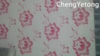 China PET Film Laminated Color Coated Steel Coil , Household Appliance Cold Rolled Steel Coil for sale