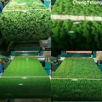 China PE Coating Color Coated Steel Coil Customized Pattern Printing Width 700-1600MM for sale