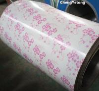 China Customized Pattern Printing Color Coated Steel Sheet EP Coating For Ceiling Decoration for sale