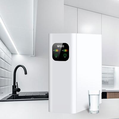 China 800G Direct Drinking Water Purifier Filter Ro Membrane TDS Monitoring for sale