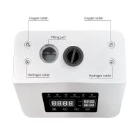 China Smart pem hydrogen inhaler high end hydrogen oxygen inhalation machine 6000ml for sale
