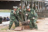 China offer bailey bridge for sale