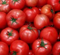 China Automatic  Tomato Paste Processing Line 50 Tons / Hour for sale