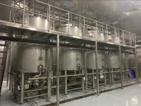 China Industry Fresh Mango Pulp Processing Line Automatic for sale