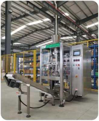 China Large Lapel Packing Machine For Granules Powders Liquids for sale