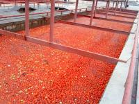 China Food Grade Fresh Tomato Fruit Puree Production Line 6.5t/H High Capacity for sale