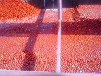 China 1kg Bag Packing Tomato Paste Making Machine 3 Tons Per Hour for sale