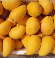 China Full Automatic Mango Processing Line 50 Tons / Hour for sale