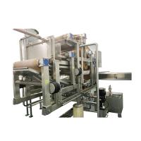 China Fruit And Vegetable Mango Processing Line 50 Tons / Hour for sale