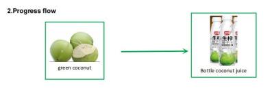 China Pte Bottle Packing Coconut Juice Production Line 500L Per Hour for sale