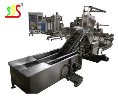 China Dried Fruit Production Line 1ton Per Hour Or Customzied Capacity for sale