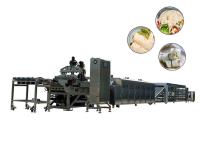 China Automatic Tortilla Wrap Making Machine for sale