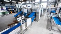 China Commercial Use Paratha Onion Pancake Making Machine 6000 Pcs/H for sale