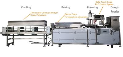China Wheat Or Corn Floour Dough Divider Rounder for Large Scale Production for sale