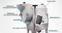 China Multifunctional Fruit And Vegetable Processing Machine Automatic for sale