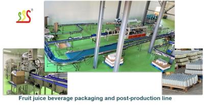 China Low Power Consumption Juice Making Machine For Fruit And Vegetable Processing Line for sale